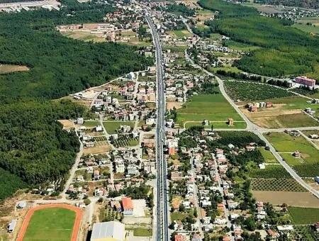 Emlak ofisi Ladybird Estate Agency, Dalaman, foto