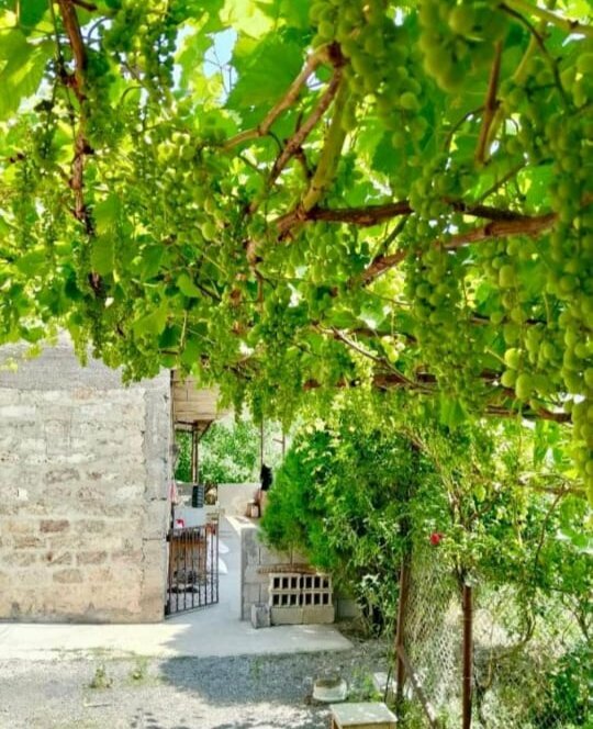Otel Armen bed and breakfast, Sünik, foto