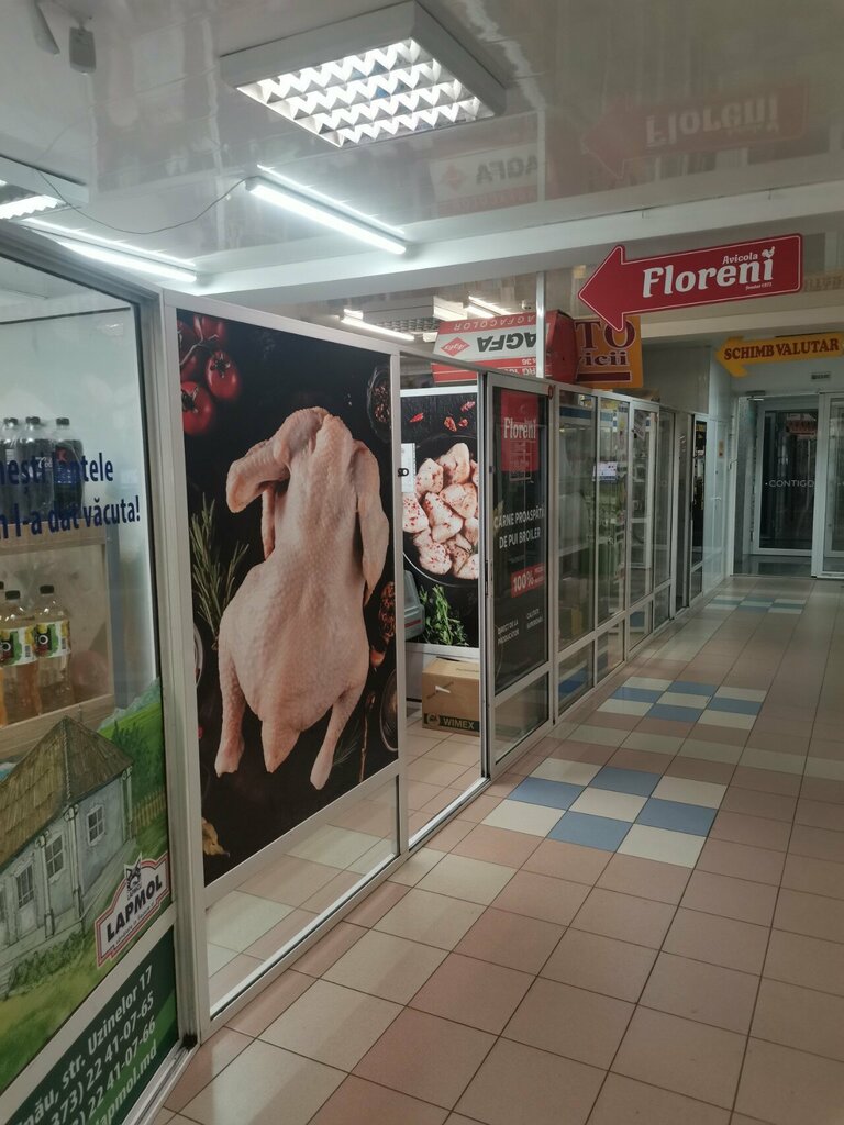 Kasap, şarküteri Avicola floreni, Kişinev, foto