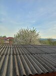 Администрация сельского поселения Зязиков-Юрт (Yuzhnaya ulitsa No:16, selo Zyazikov-Yurt), belediyeler, devlet daireleri  İnguşetya'dan