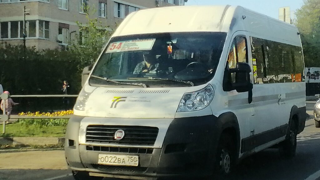 Toplu taşıma yönetimi ve bakımı Fabula-Taksi, Moskova ve Moskovskaya oblastı, foto