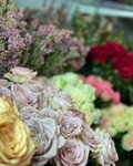 Zey Flower Design (Hatay, Antakya, Kışla Saray Mah., İnönü Cad., 9B), çiçekçiler  Antakya'dan