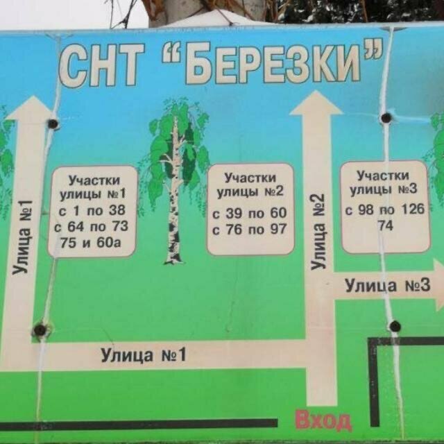 Bahçecilik dernekleri ve kuruluşları СНТ Берёзки, Moskova ve Moskovskaya oblastı, foto