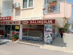 Sahil Balıkçılık (Zerdalilik Mah., 1404. Sok., No:24, Muratpaşa, Antalya), balık ve deniz ürünleri  Antalya'dan