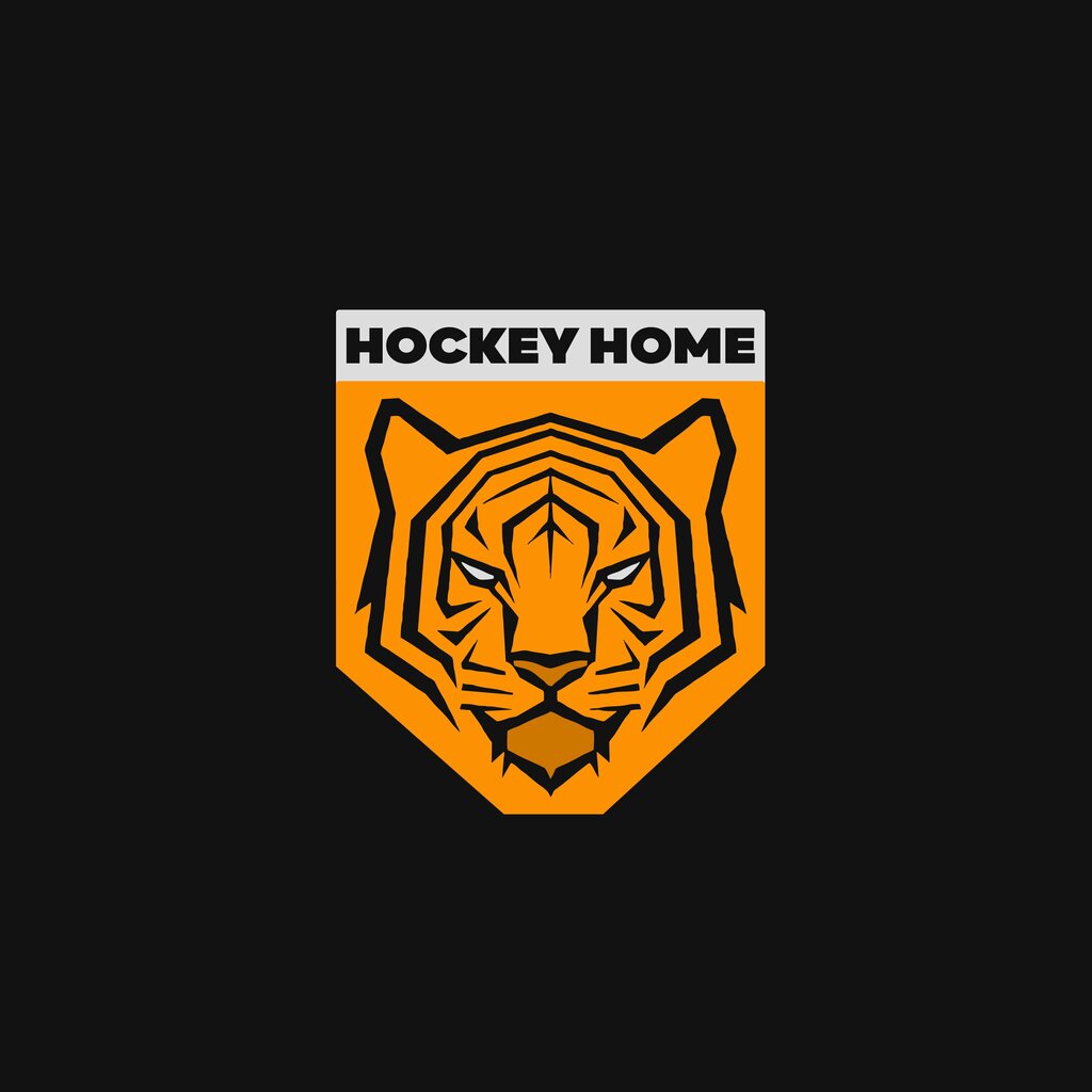 Spor okulları Hockey Home, Krasnoyarsk, foto