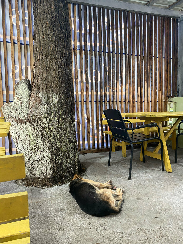 Kafe Кафе, Kabuletti, foto