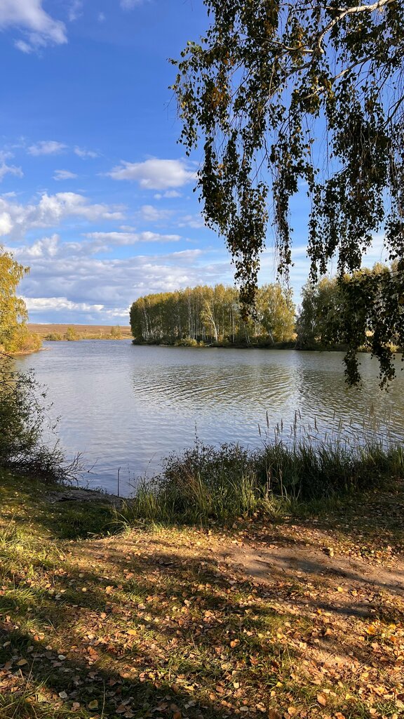 Resort oteller, tesisler Bobry i Utki, Tataristan, foto