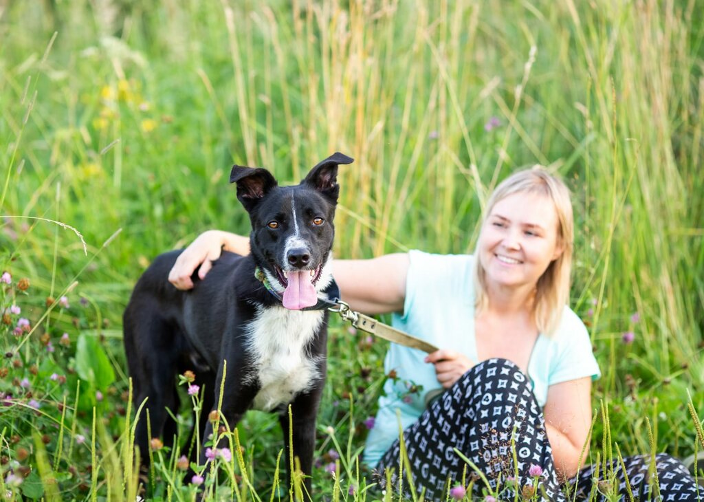 Pet otel Зоогостиница 1, Moskova ve Moskovskaya oblastı, foto