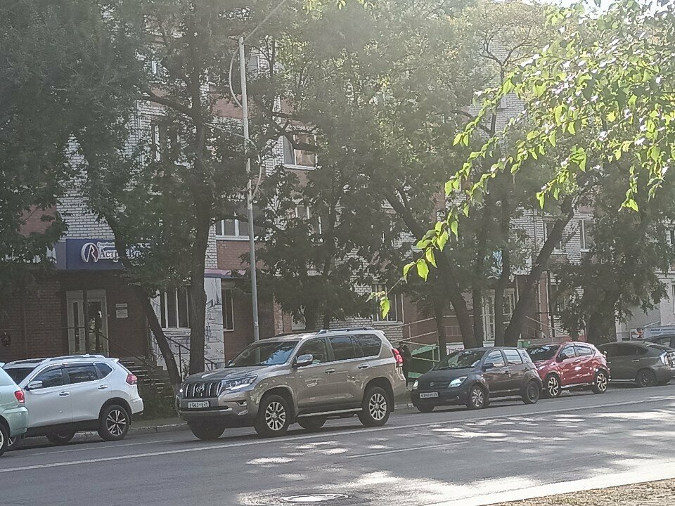Mali denetleme şirketleri Бизнес-интеллект, Blagoveshchensk, foto