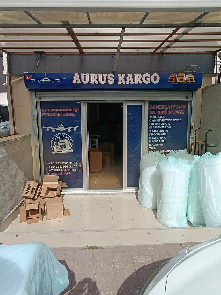 Uçak kargo Aurus Waynah Kargo, İstanbul, foto