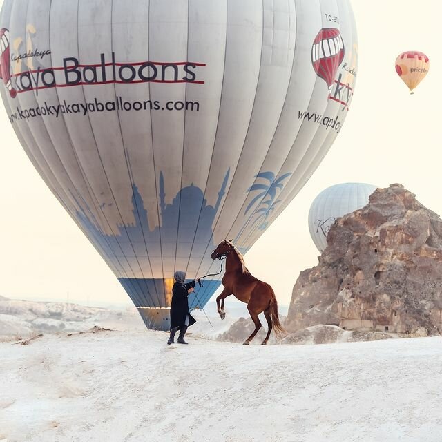 Kargo firmaları Eren Anka Turizm Taşımacılık, Nevşehir, foto