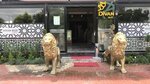 Divan Elit Kafe (Konya, Kulu, Ahmet Baran Cad., 9C), kafe  Kulu'dan