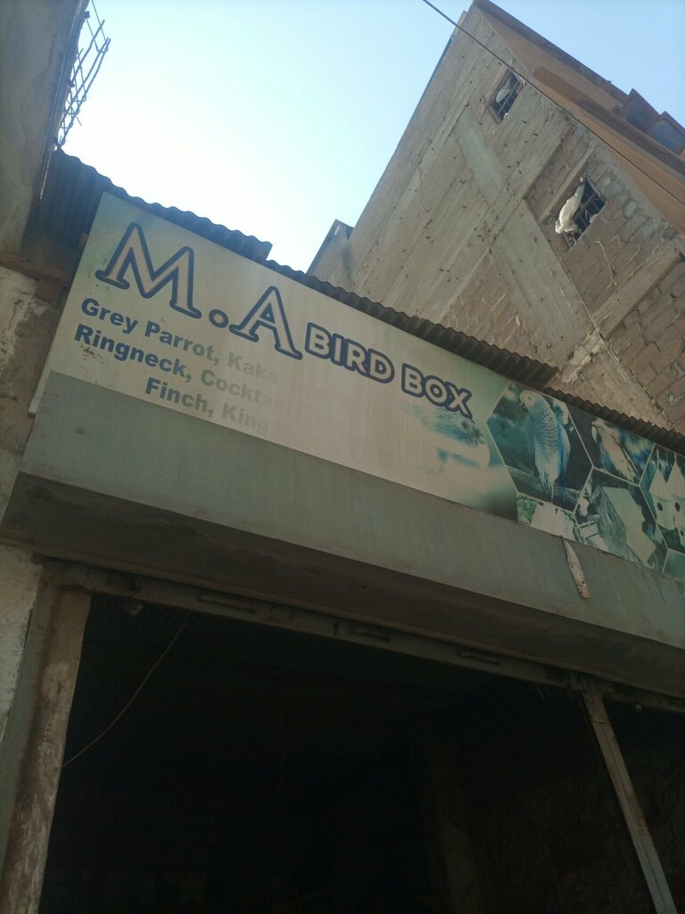 Paketleme malzemeleri firmaları M. A bird box, Karaçi, foto