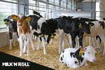MilknRoll (Antalya, Konyaaltı, Hürriyet Cad., 57), tarım makineleri, ekipmanlar  Antalya'dan
