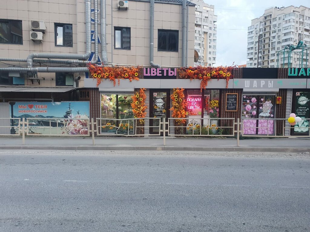 Çiçekçiler Surprise, Novorossiysk, foto