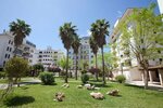 Ferrer Lime Tamarindos (Islas Baleares, Alcudia, Puerto de Alcudia), daireler  Balear Adaları'ndan