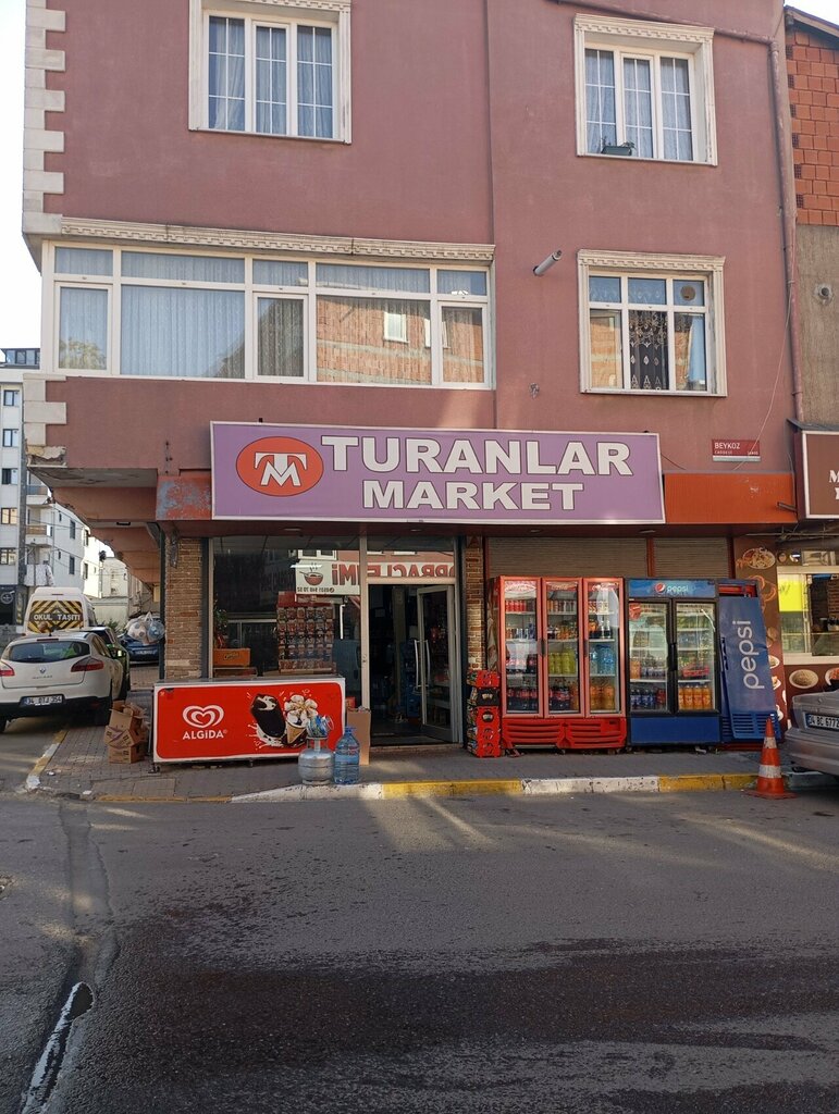 Kereste üretim ve satış şirketleri Turanlar Market, İstanbul, foto
