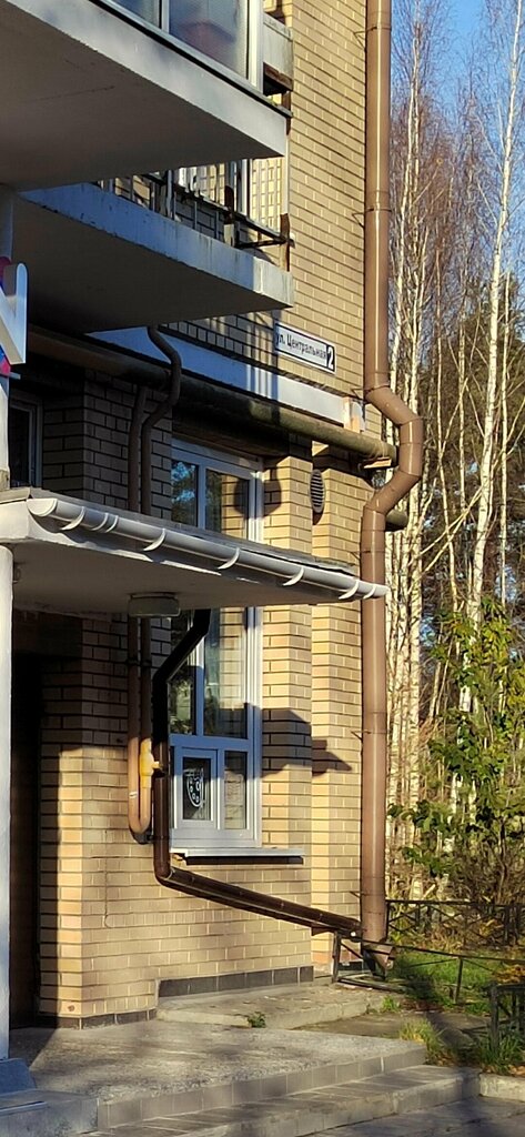 Yabancı dil kursları AntiShkola, Vsevolgsk, foto