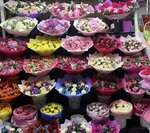 Gracie flowers77 (Mira Avenue No:88с1), çiçekçiler  Moskova'dan