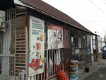 Продуктовый магазин (Jalal-Abad Region, Suzak İlçesi, Yrysskiy ailny okrug, Tütsü-Kara Köyü, Tashbaev Kaldar Street), market  Celal‑Abad İli'nden