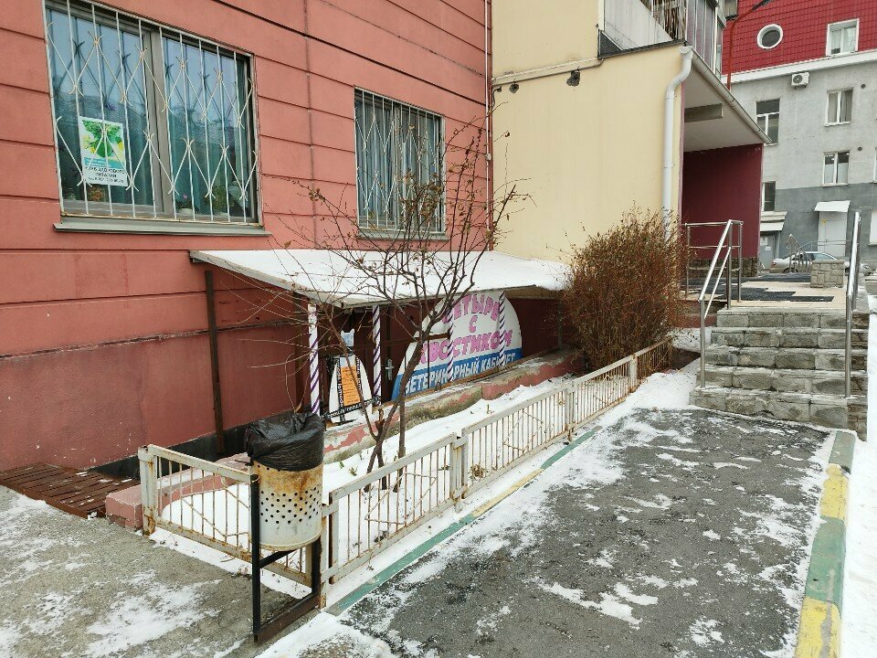 Veteriner klinikleri Chetyre s khvostikom, Çeliabinsk, foto