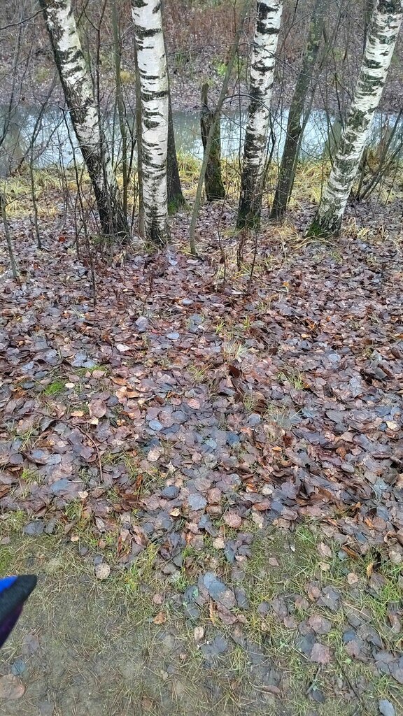 Anaokulları Chastny detsky sad Nastenka, Vsevolgsk, foto