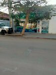 Farmácia Safira (Luanda Province, Municipality of Talatona, Morro Bento 2), eczaneler  Loanda'dan