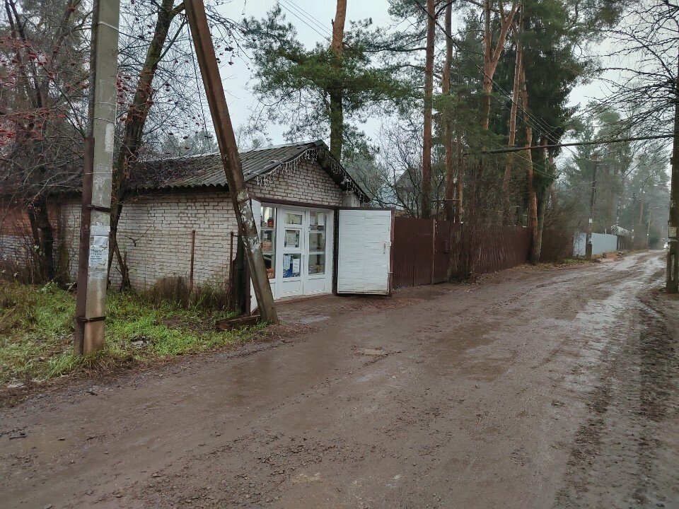 Evcil hayvan yetiştiricileri С Мельничного Ручья, Vsevolgsk, foto
