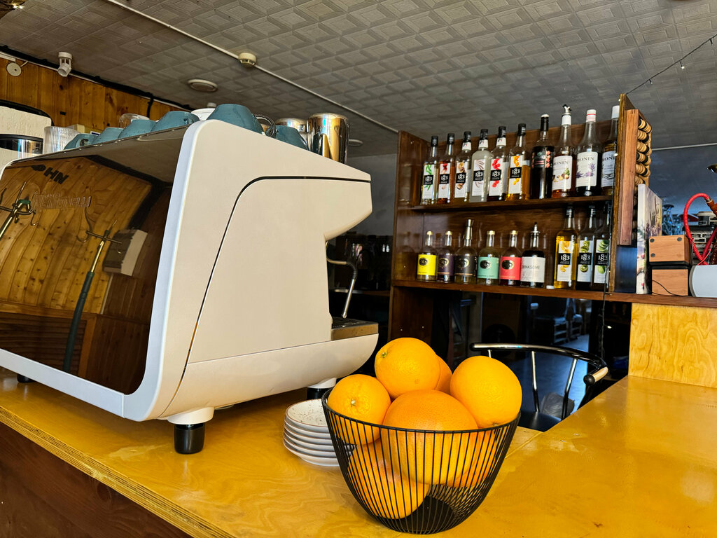 Al götür kahve Kamyshi, Çaplygin, foto