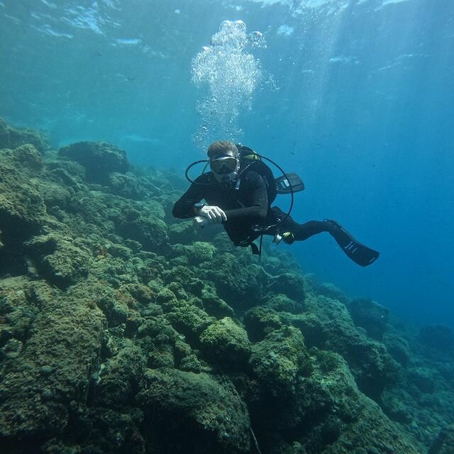 Dalış ürünleri Ogs Marine, İstanbul, foto