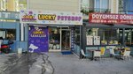 Lucky Petshop (Adnan Kahveci Mah., Kuştepe Cad., No:20/1, Beylikdüzü, İstanbul), petshop  İstanbul'dan