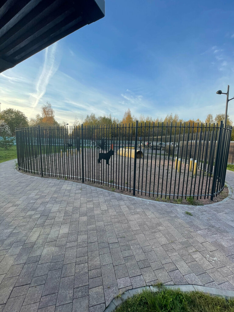Köpek gezdirme alanları Dog park, Saint‑Petersburg ve Leningradskaya oblastı, foto