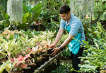 Rokn Alashjar Trees & Plants Trading (5, Al Layyanah Street, W5, Abu Dhabi), fidan yetiştiriciliği