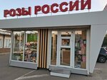Розы России (Pobedy Avenue No:124Бк2), çiçekçiler  Penza'dan