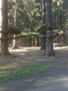 Место отдыха (Perm Territory, Berezniki, tropa Zdorovya), piknik alanı  Berezniki'den