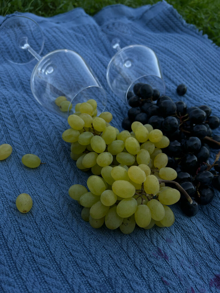 Alkollü içecekler Гебея вино, Yaroslavl, foto