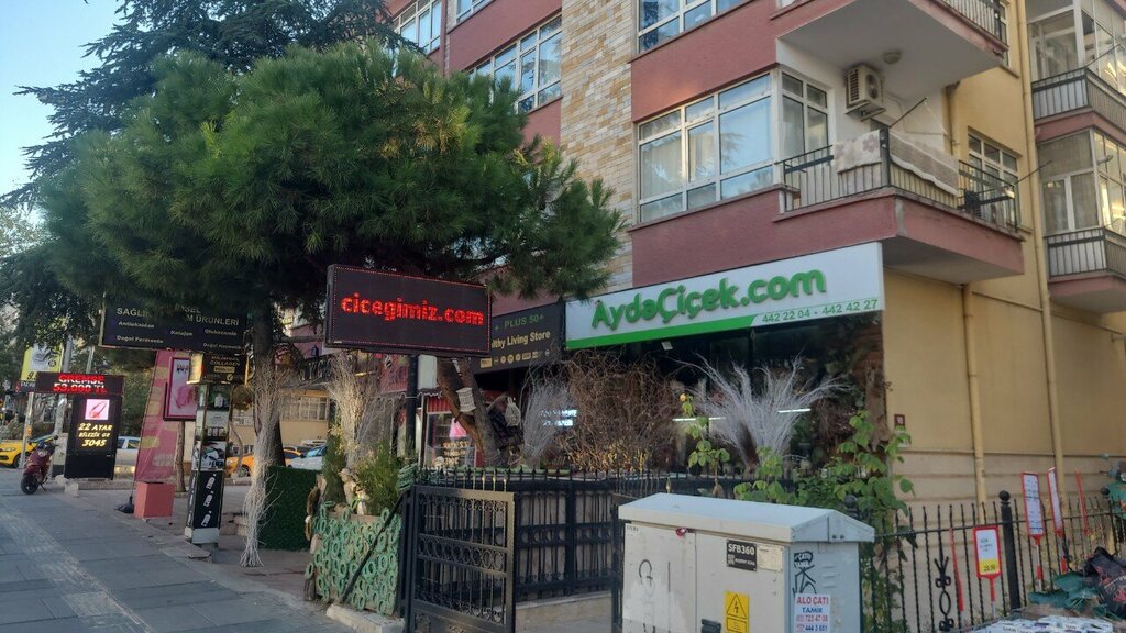 Çiçekçiler Ayda Çiçek, Ankara, foto