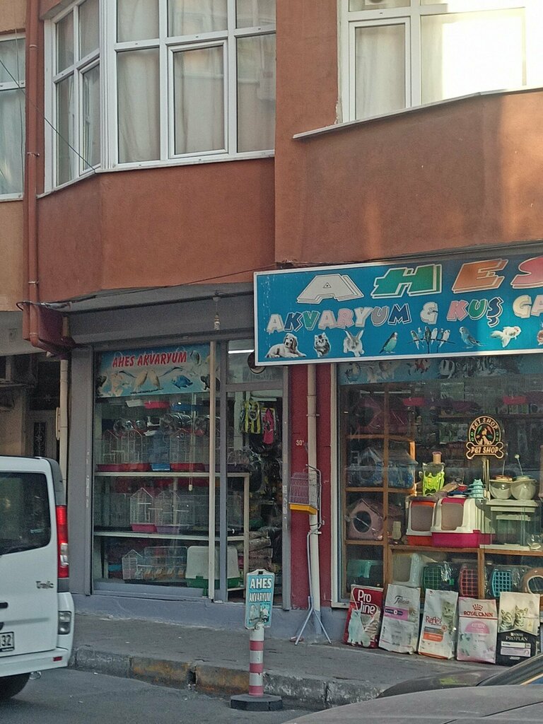 Petshop Ahes Akvaryum Ve Kuş Galerisi, İstanbul, foto