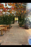 Babenc Mayla (Mikhail Chailakhyan Street No:27/1), kafe  Erivan'dan