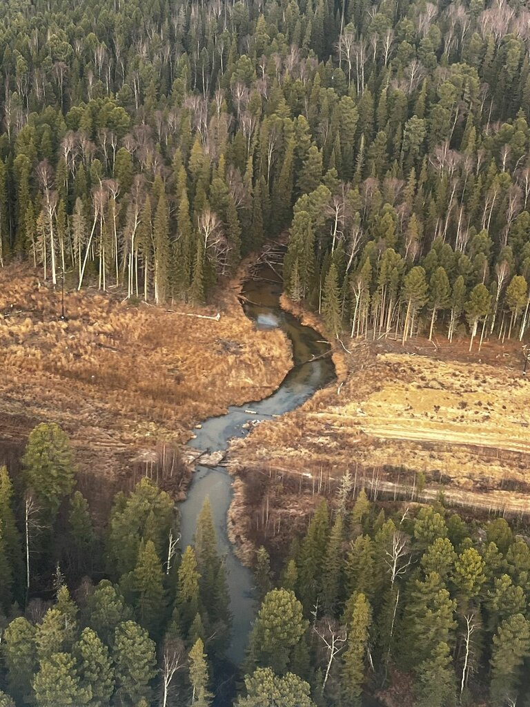 i̇skele Восточно-Каменное месторождение, Hantı‑Mansi Özerk Okrugu, foto