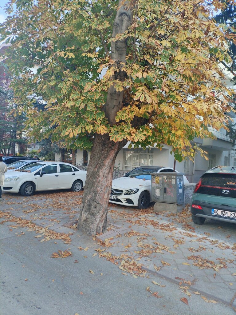 Hukuk büroları Erdil Hukuk Bürosu, Ankara, foto