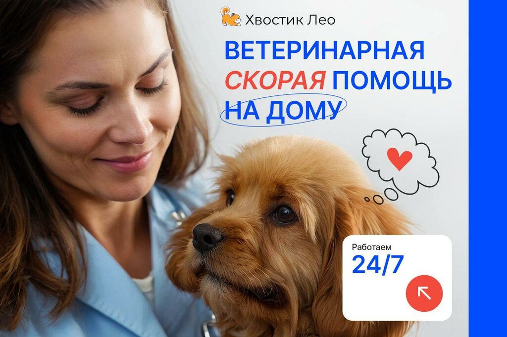 Veteriner klinikleri Хвостик Лео, Moskova, foto
