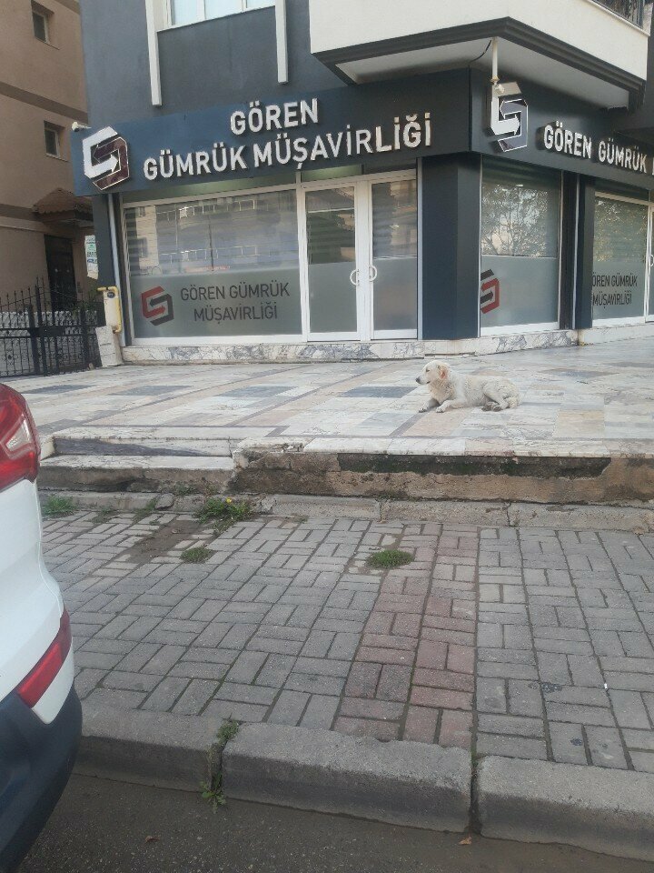 Gümrük hizmetleri Gören Gümrük Müşavirliği, İzmir, foto