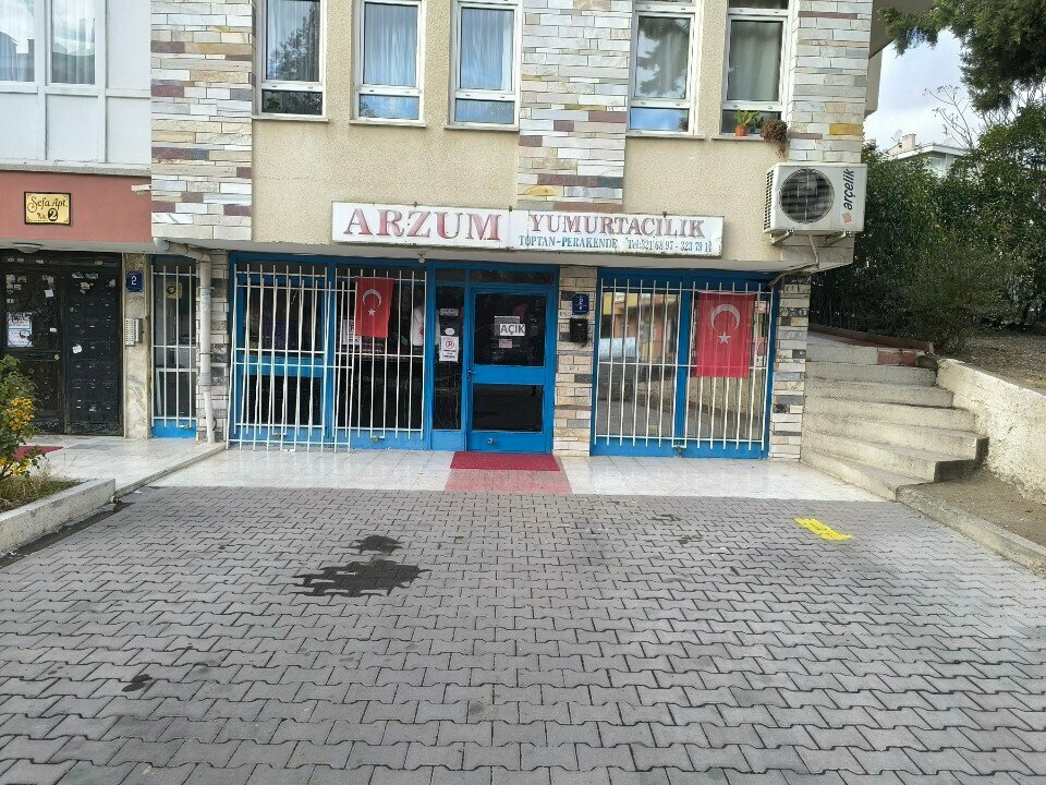 Kanatlı hayvan ürünleri ve yumurta Arzum Yumurtacılık, Ankara, foto