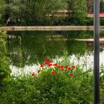 Efeler Park (Antalya, Kepez, Avni Tolunay Mah., 4540. Sok.), spor alanı  Antalya'dan