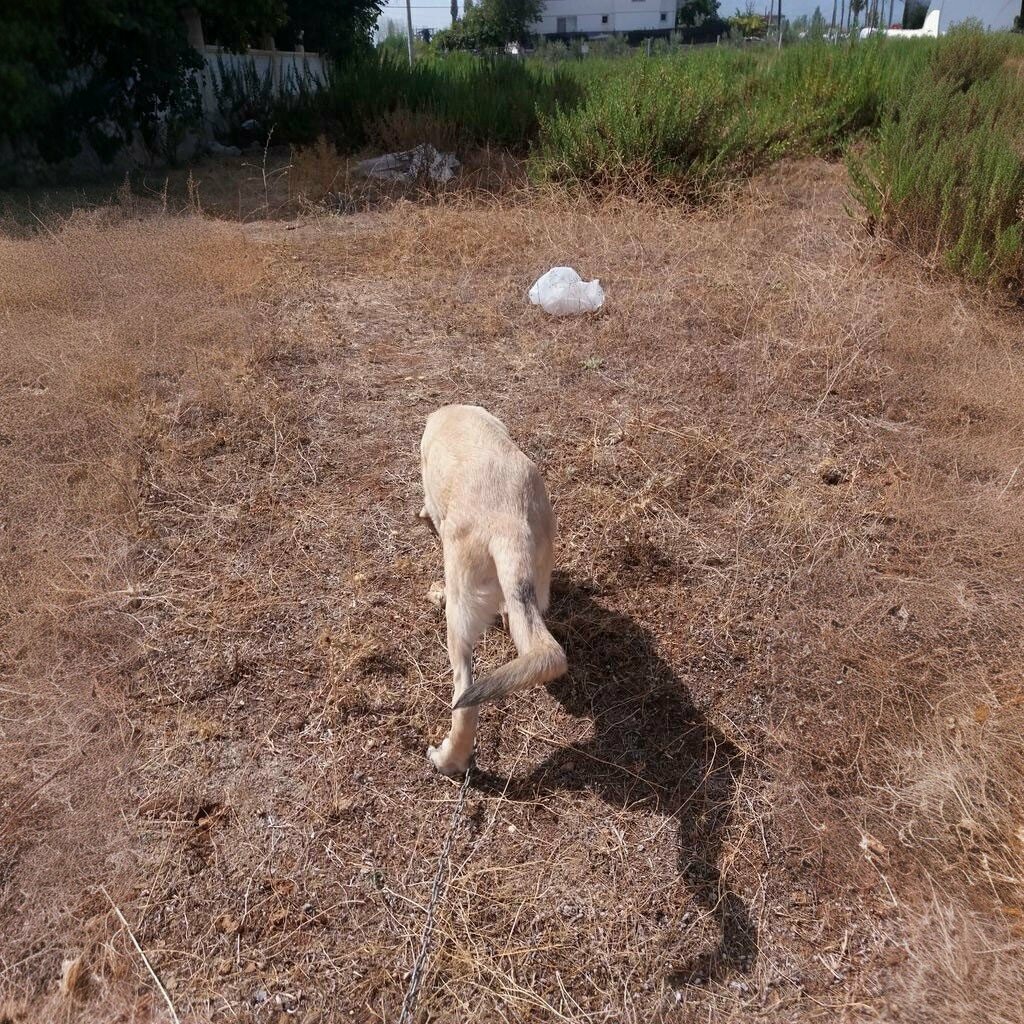 Kültür ve eğlence parkları Atatürk Parkı, Döşemealtı, foto