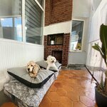 Pet Avrupa (İstanbul, Beylikdüzü, Dereağzı Mah., Deniz Sok., 9), hayvanat bahçesi merkezi  İstanbul'dan