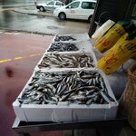 Temel Avm (Ordu, Altınordu, Zübeyde Hanım Cad., 364A), market  Altınordu'dan