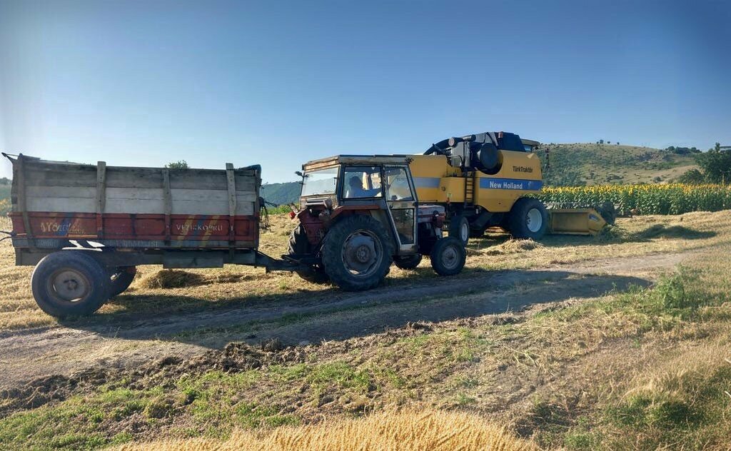 Muhtarlıklar Boğazkoru Mahalle Muhtarlığı, Vezirköprü, foto