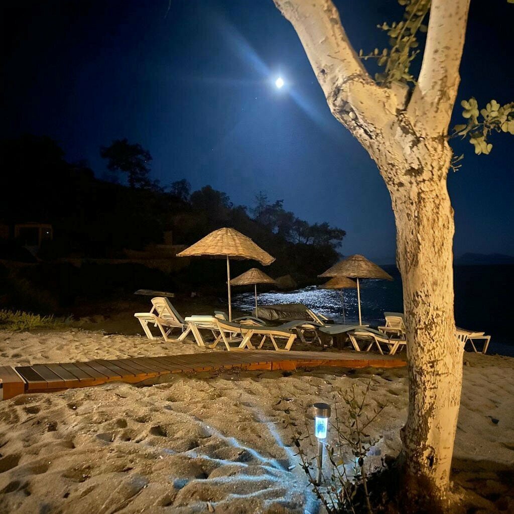 Pansiyonlar, hosteller Yelken Plaj Restoran Tiny House, Bodrum, foto